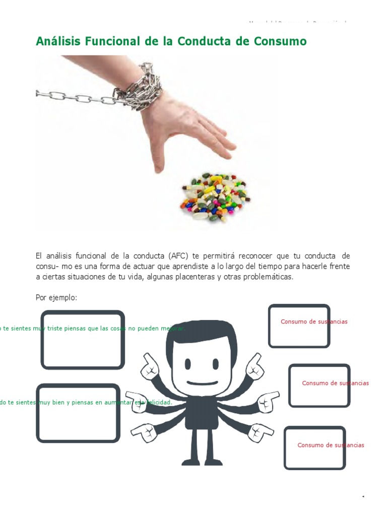 Analisis Funcional | PDF | Comportamiento | Las emociones
