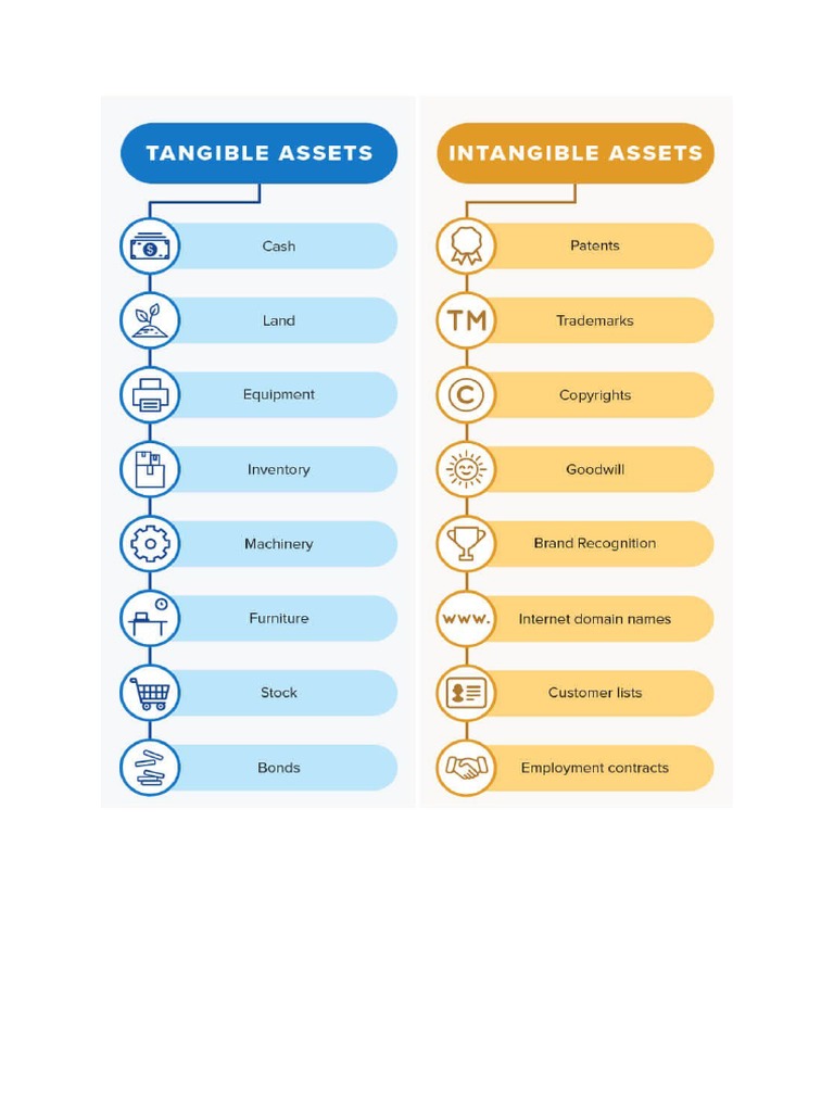Tangible and Intangible Assets | PDF