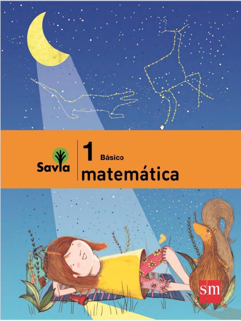 Libro Matematicas 1 Basico Sin Stiker | PDF