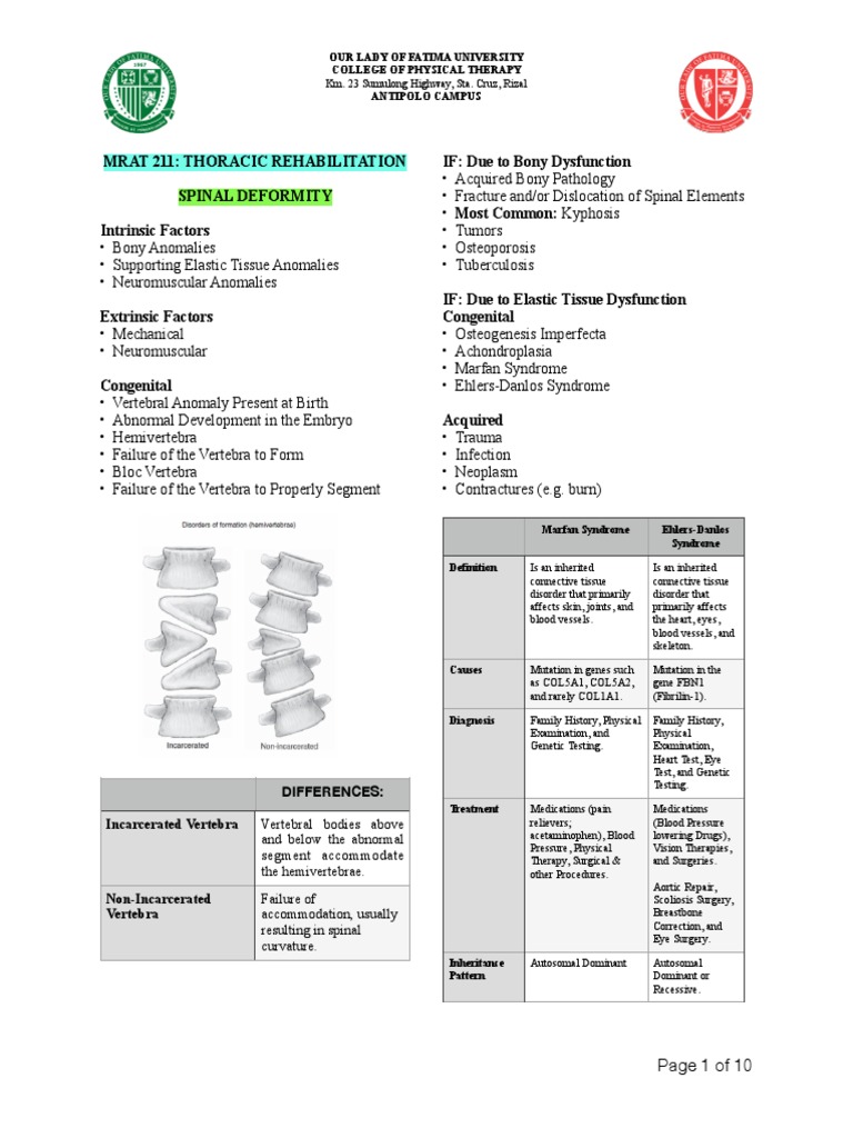 Thoracic Rehabilitation for Spinal Deformities | PDF | Vertebral Column | Scoliosis