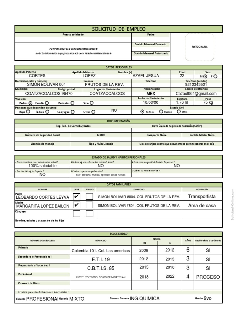 Solicitud de Empleo PDF Verde | PDF