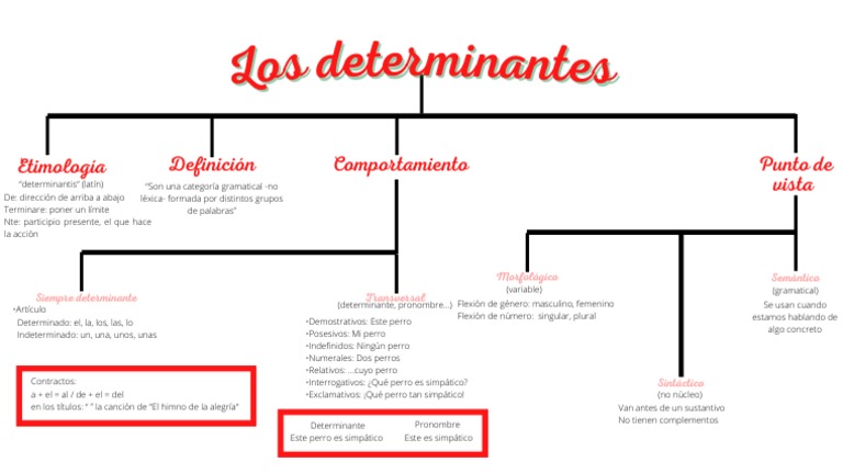 Los Determinantes Esquema | PDF | Comunicación humana | Gramática
