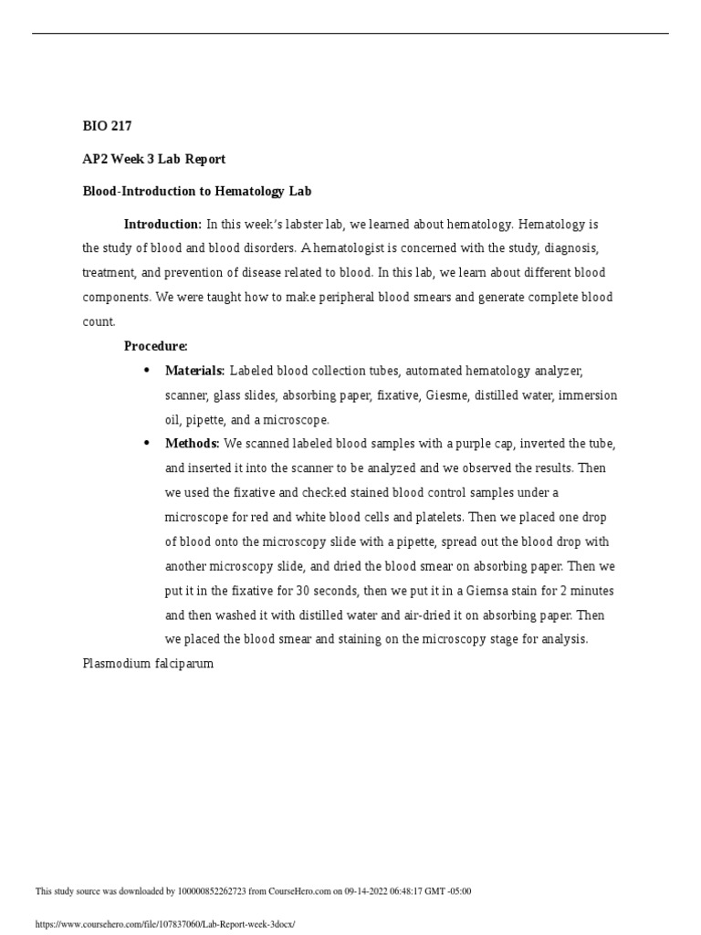 Lab Report Week 3 | PDF | Vein | Heart