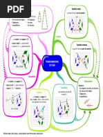 Symétrie radiale vs bilatérale expliquée | PDF | Symétrie