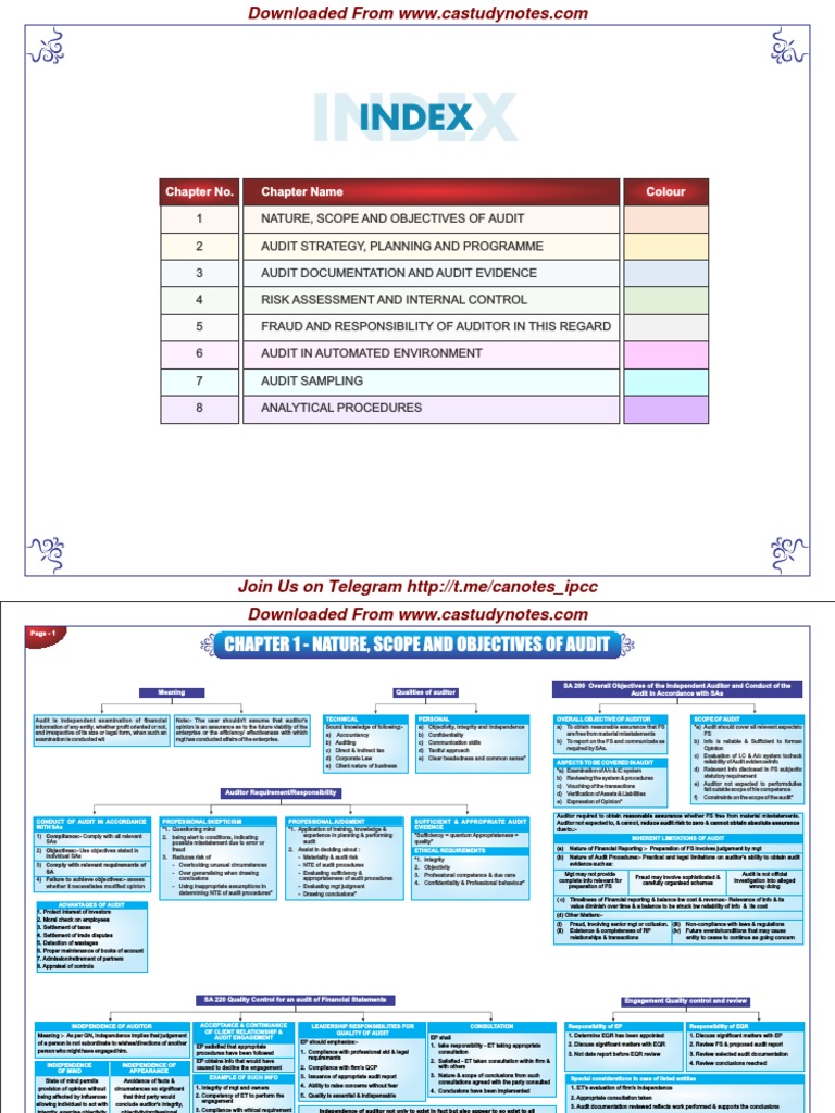 CA Inter Charts Module 1 | PDF | Audit | Financial Audit