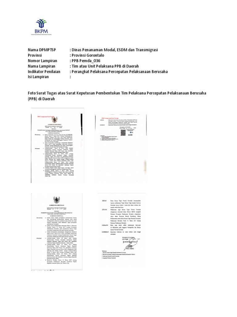 PPB Pemda - 09 - Peningkatan Iklim Investasi - Perangkat Pelaksana PPB OK | PDF | Bisnis | Komputer