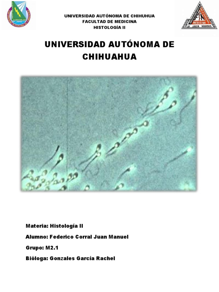 PP Seminograma | PDF | Semen | Especialidades Medicas
