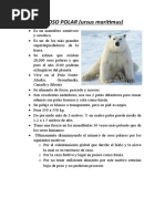 El Oso Polar | PDF | Oso polar | Osos