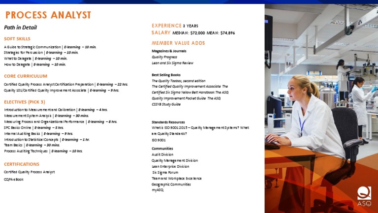 Process Analyst | PDF