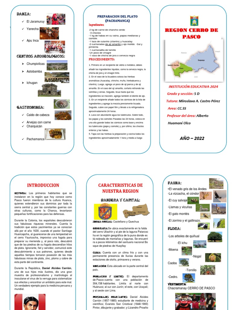 TRIPTICO Cerro de Pasco 5D | PDF | Cilantro | Alimentos