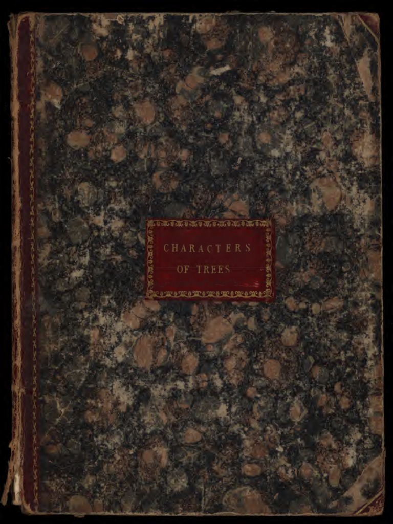 Characters of Trees | PDF | Trees | Leaf