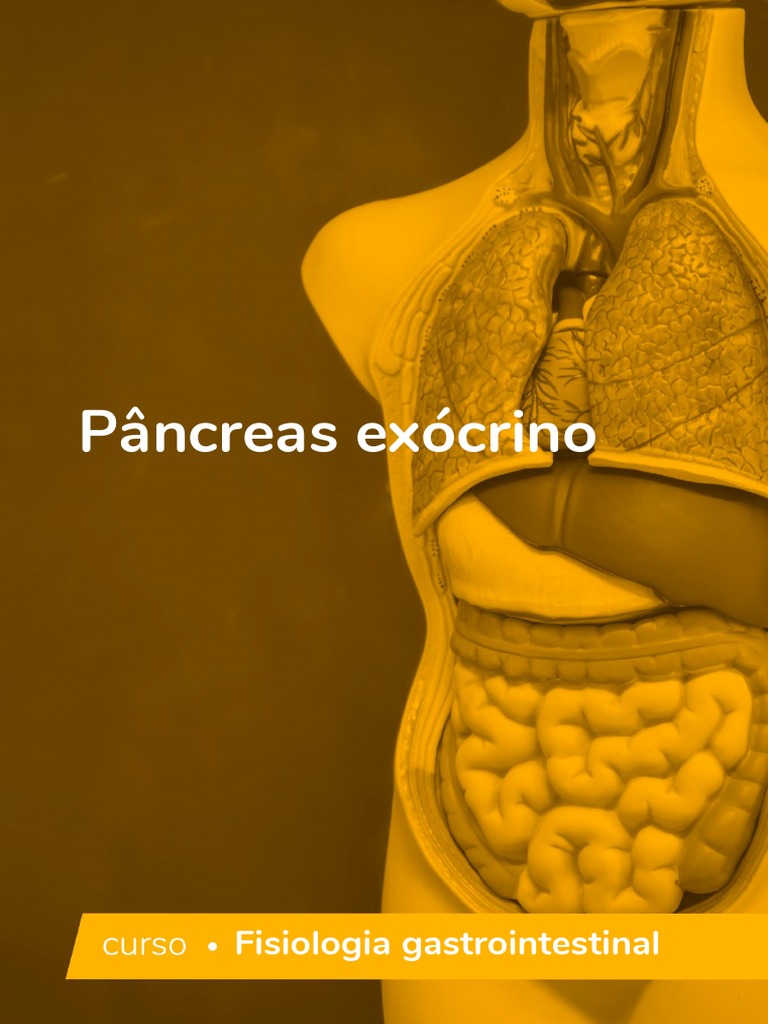 1586883657-Pancreas Exocrino | PDF | Pâncreas | Intestino delgado