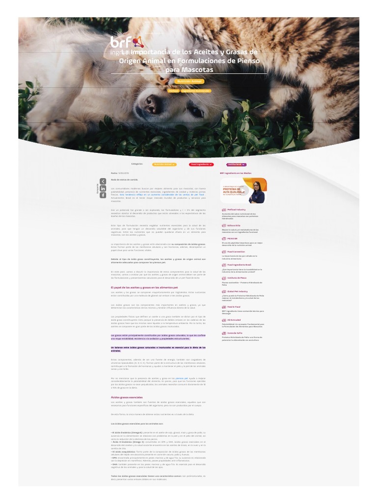 Fuentes de Grasas en La Nutrición Animal - BRF Ingredients | PDF ...