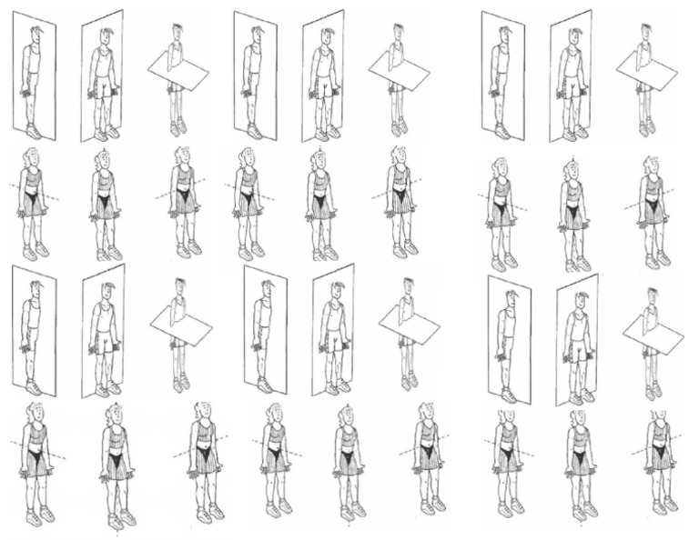 Ejes y Planos Corporales | PDF