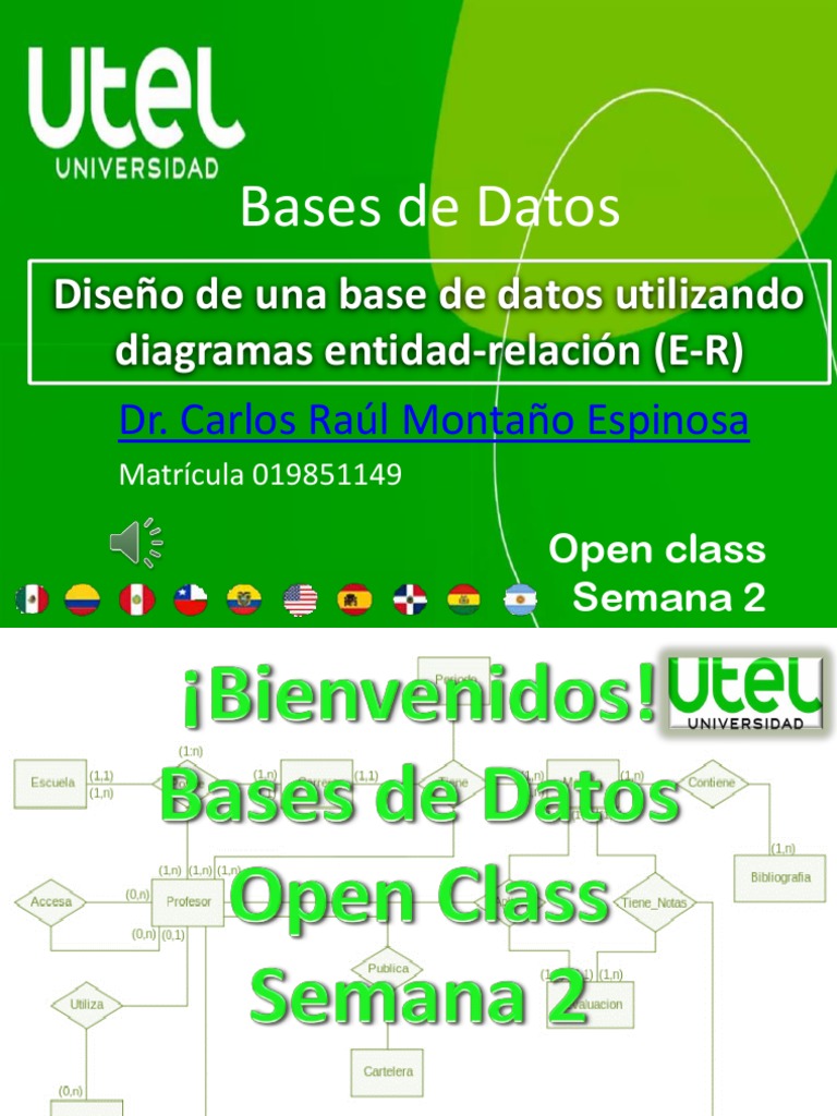 SEMANA 2 (Diseño de Una Base de Datos Usando Modelo E-R) | PDF ...