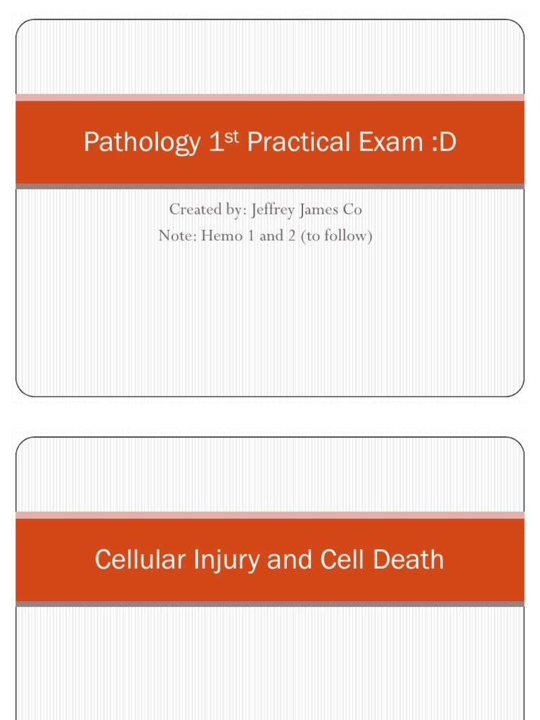 Pathology 1st Practical Exam | PDF | Necrosis | Epithelium