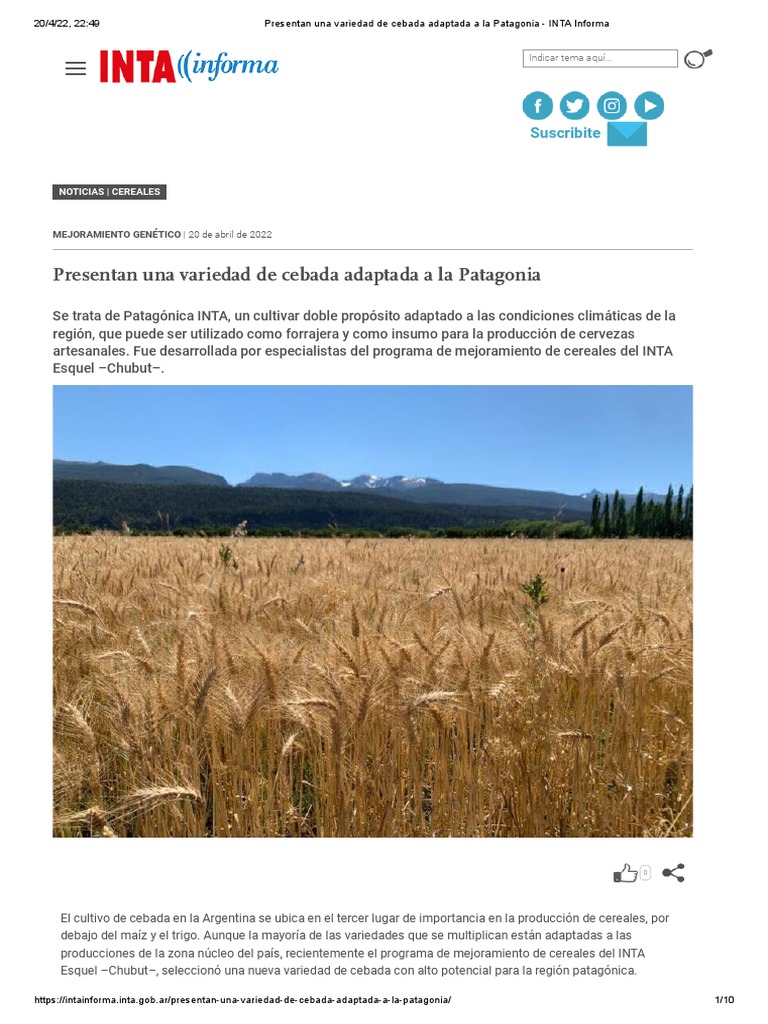 Presentan Una Variedad de Cebada Adaptada A La Patagonia - INTA Informa | Descargar gratis PDF ...