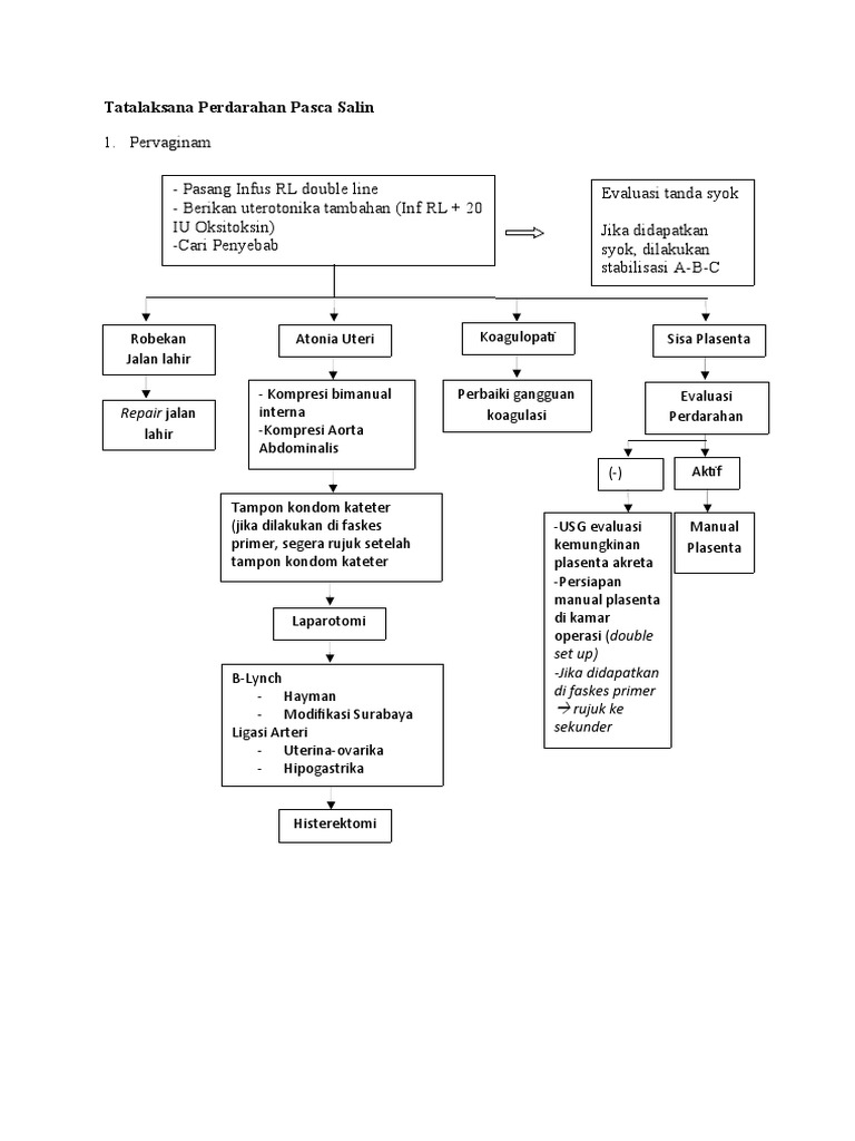 Tatalaksana Perdarahan Pasca Salin | PDF