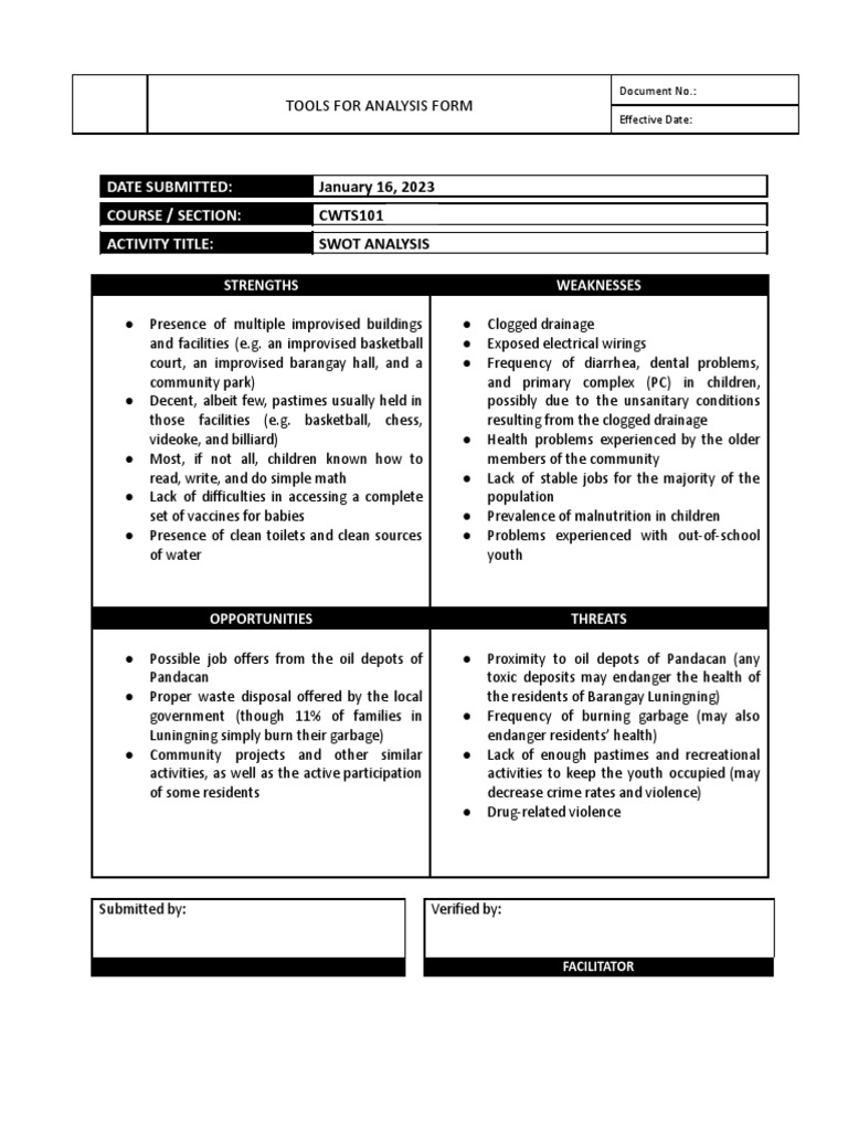 SWOT Analysis for Community Health Issues | PDF | Health Sciences