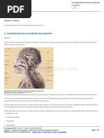 Netter - Anatomía de Cabeza y Cuello para Odontólogos, 3rd Edition Full ...