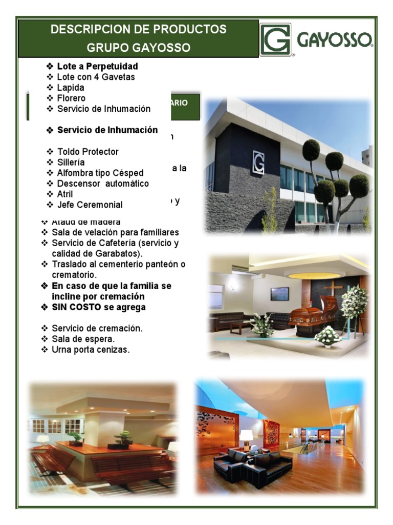 Descripcion Gayosso | PDF