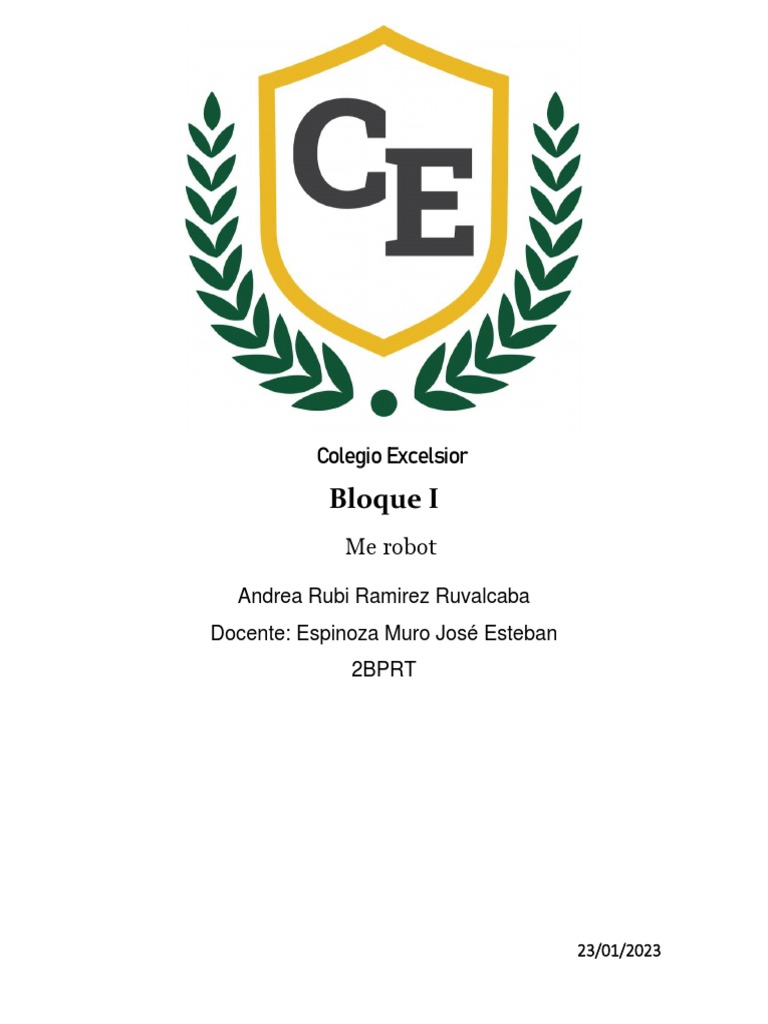 Me Robot - RRRA - 250123 | PDF
