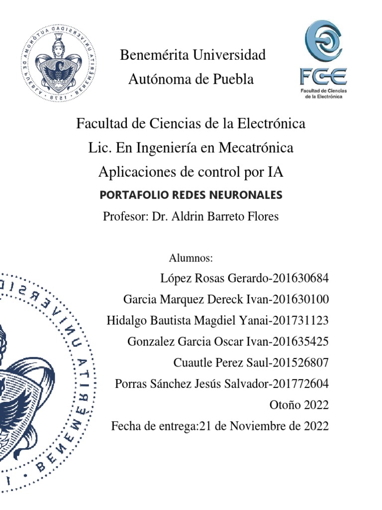 ENTREGABLE4_REDESNEURONALES | PDF