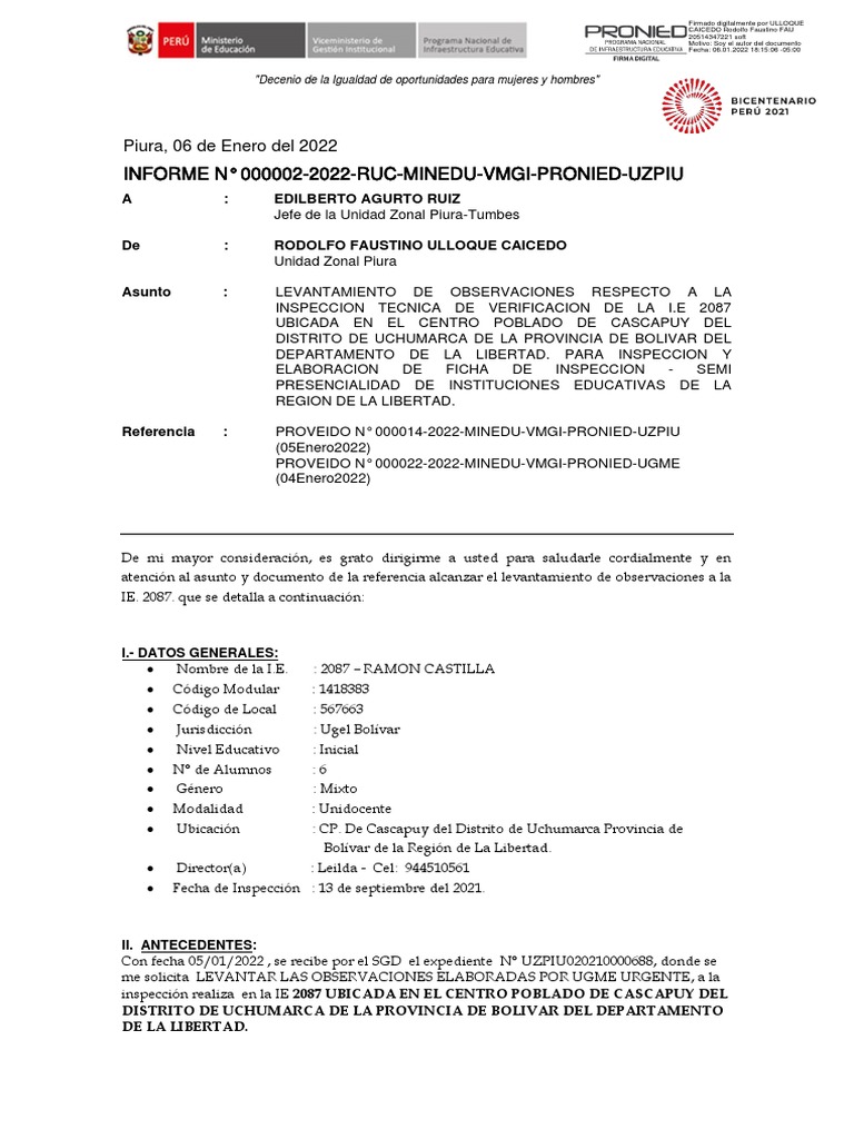 Modelo de Levantamiento de Observaciones - Rodolfo | PDF
