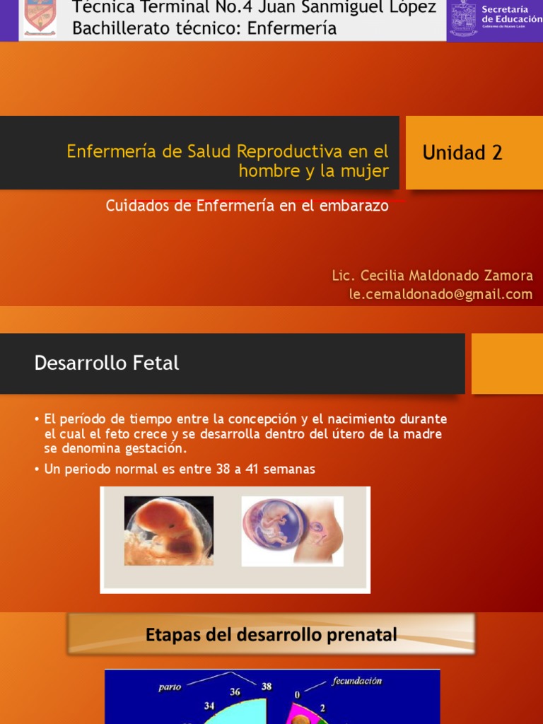Concepcion y Desarrollo Fetal | PDF | El embarazo | Feto