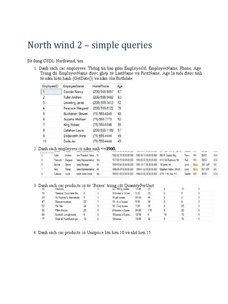 Debai Northwin2 - Tieng Viet | PDF