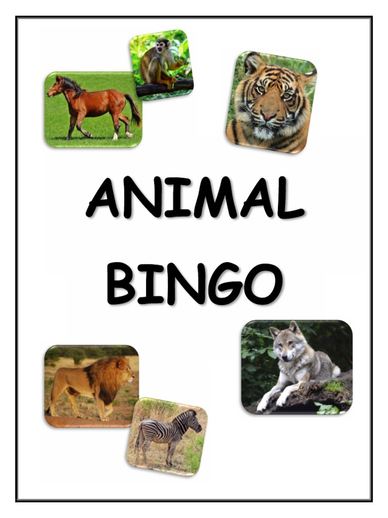 Animal Bingo Engaging Phonics Game | PDF
