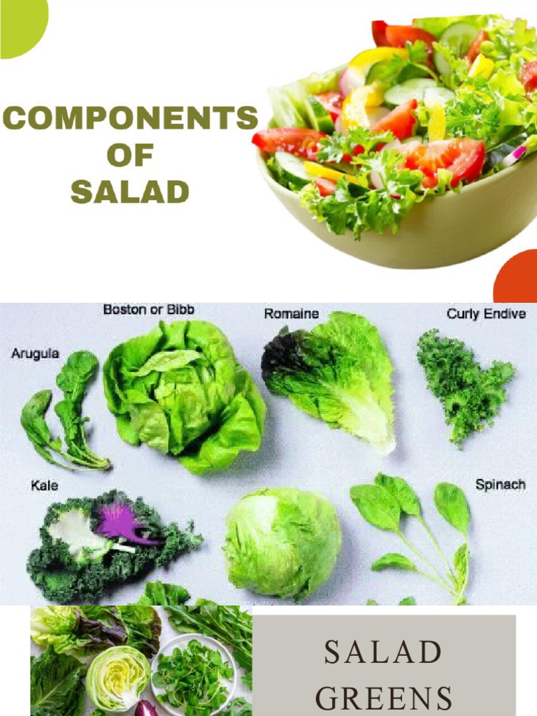 Components of a Salad Explained | PDF | Wellness | Technology & Engineering