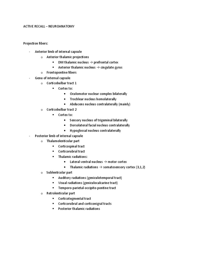 Active Recall Neuroanatomy 4B1LE | PDF | Corpus Callosum | Human Anatomy
