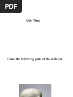 Human Musculo-Skeletal System Grade 6 | PDF | Skeleton | Bone