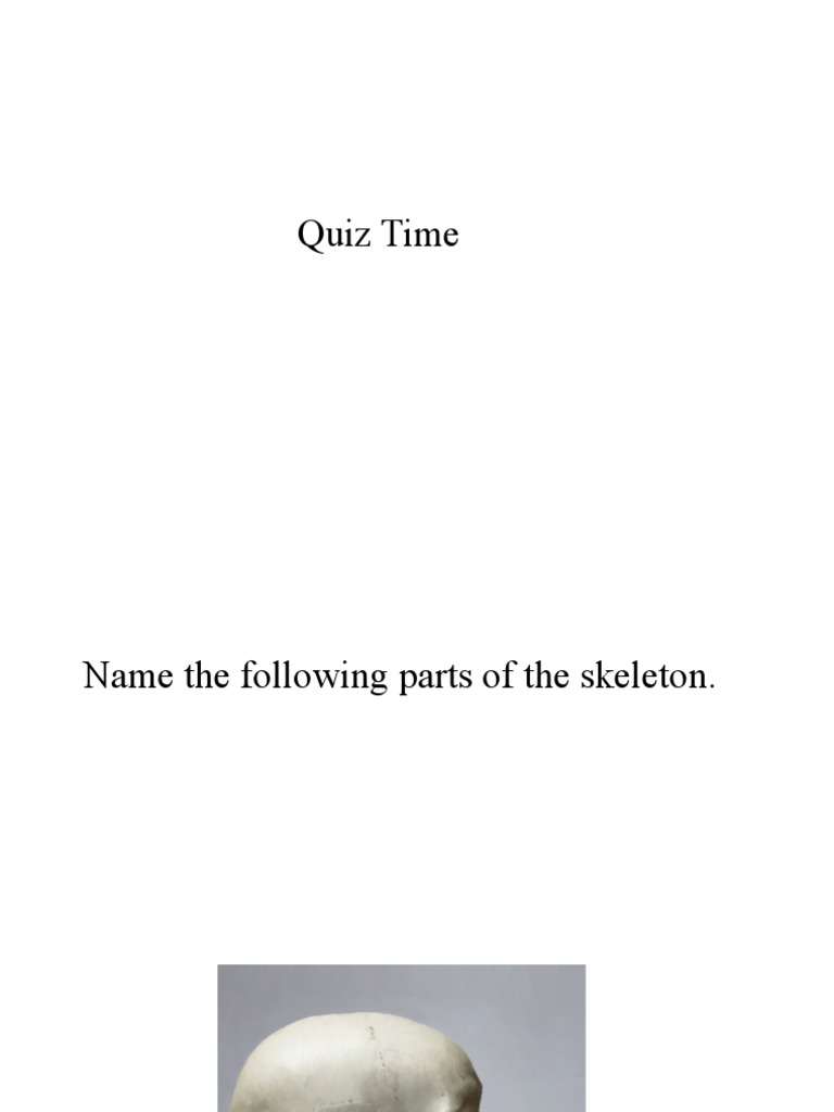 Class 4 Science Skeleton and Muscular System. | PDF