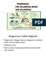 Dosis Dan Cara Pemberian Mgso4 | PDF