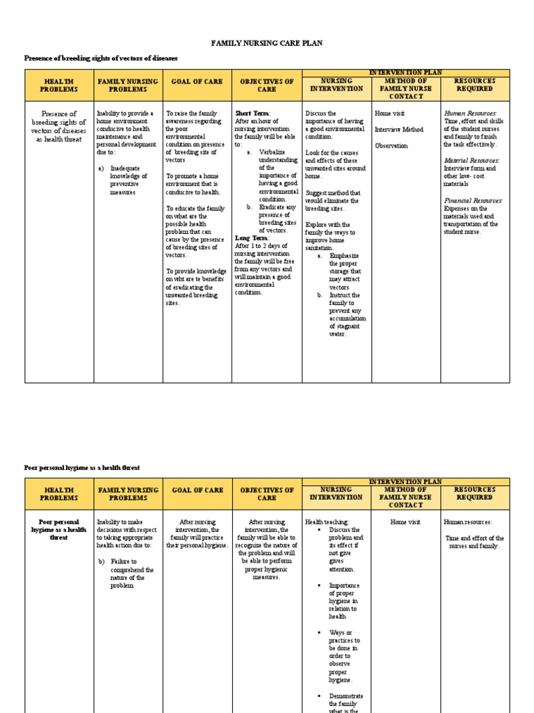 Family Nursing Care Plan for Addressing Environmental Health Risks ...
