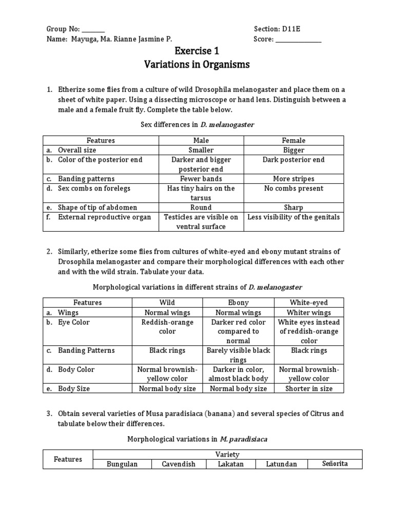 Genetics Lab Exercise 1 | PDF | Genetics | Genetic Variation