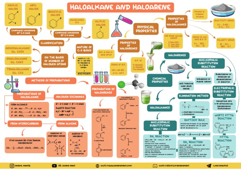 Haloalkanes and Haloarenes Mind Map | PDF | Chemical Reactions ...