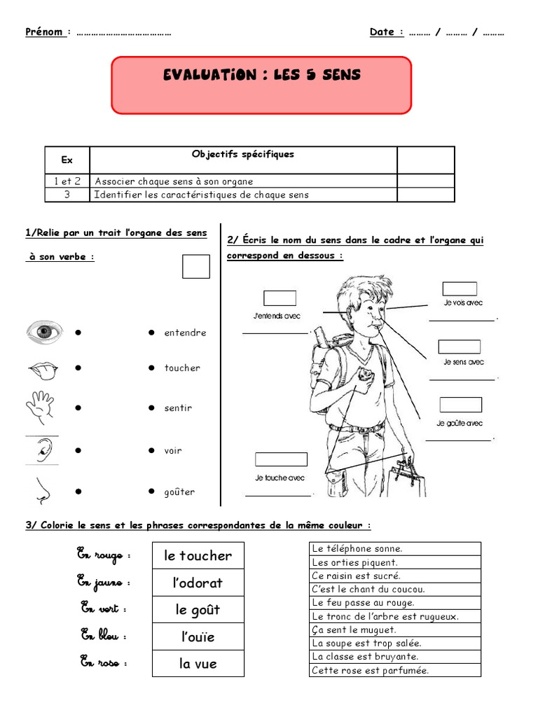 Évaluation des Cinq Sens CP-CE2 | PDF