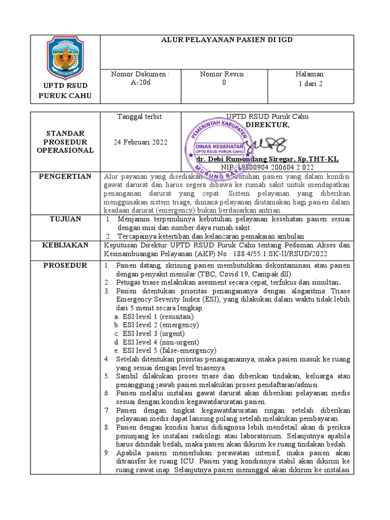 SPO - Alur Pelayanan Di IGD | PDF