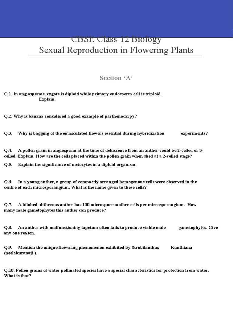 Chapter 2 Sexual Reproduction in Flowering Plants Unsolved Important Questions Class 12 | PDF ...