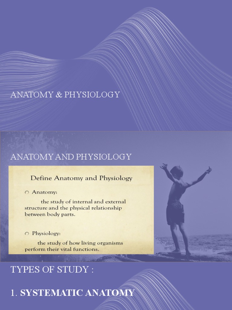 Anatomy & Physiology Basics | PDF | Human Body | Anatomical Terms Of ...