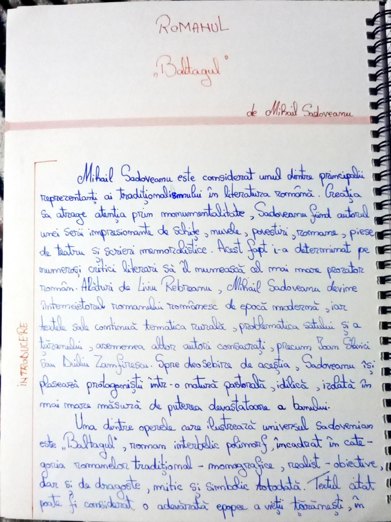 Eseu Bacalaureat Romana - Baltagul de Mihail Sadoveanu | PDF