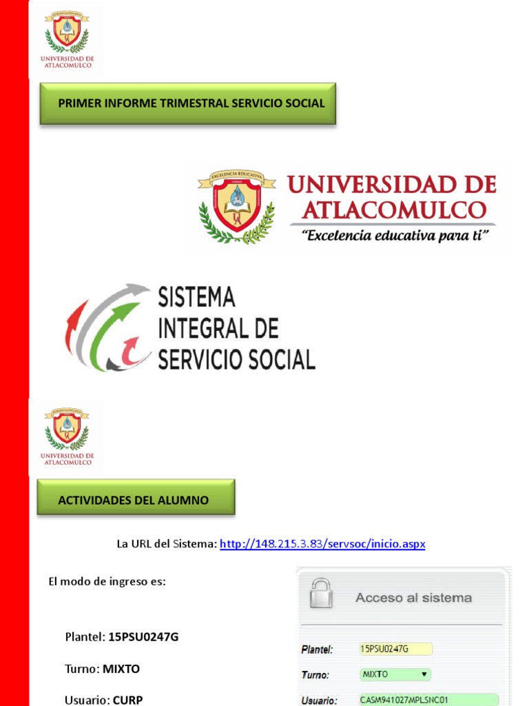 Procedimiento para Primer Informe Trimestral de SS | PDF