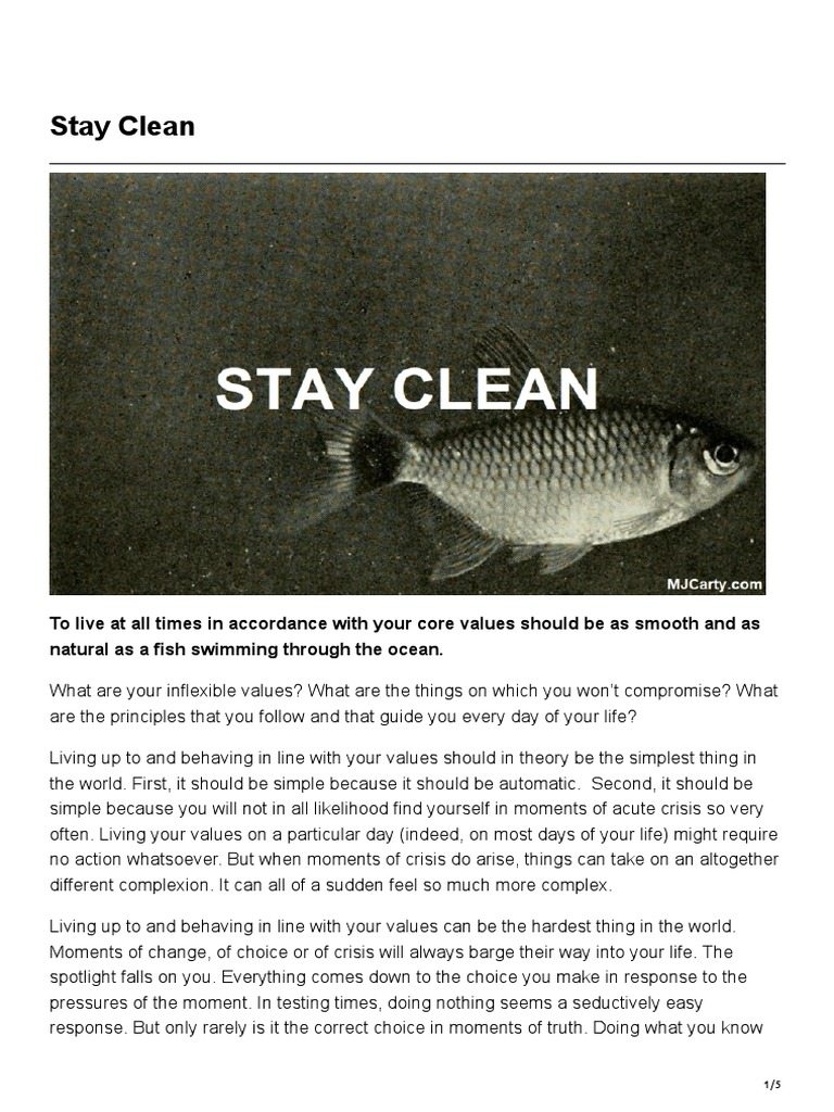 Stay Clean | PDF