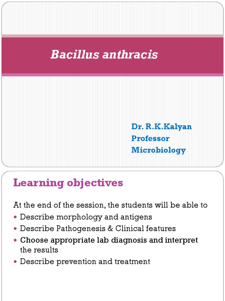 Bacillus Anthracis Microbilogy Lecture | PDF | Anthrax | Bacillus