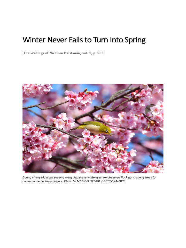 Winter Never Fails To Turn Into Spring | PDF | Nichiren | Lotus Sutra