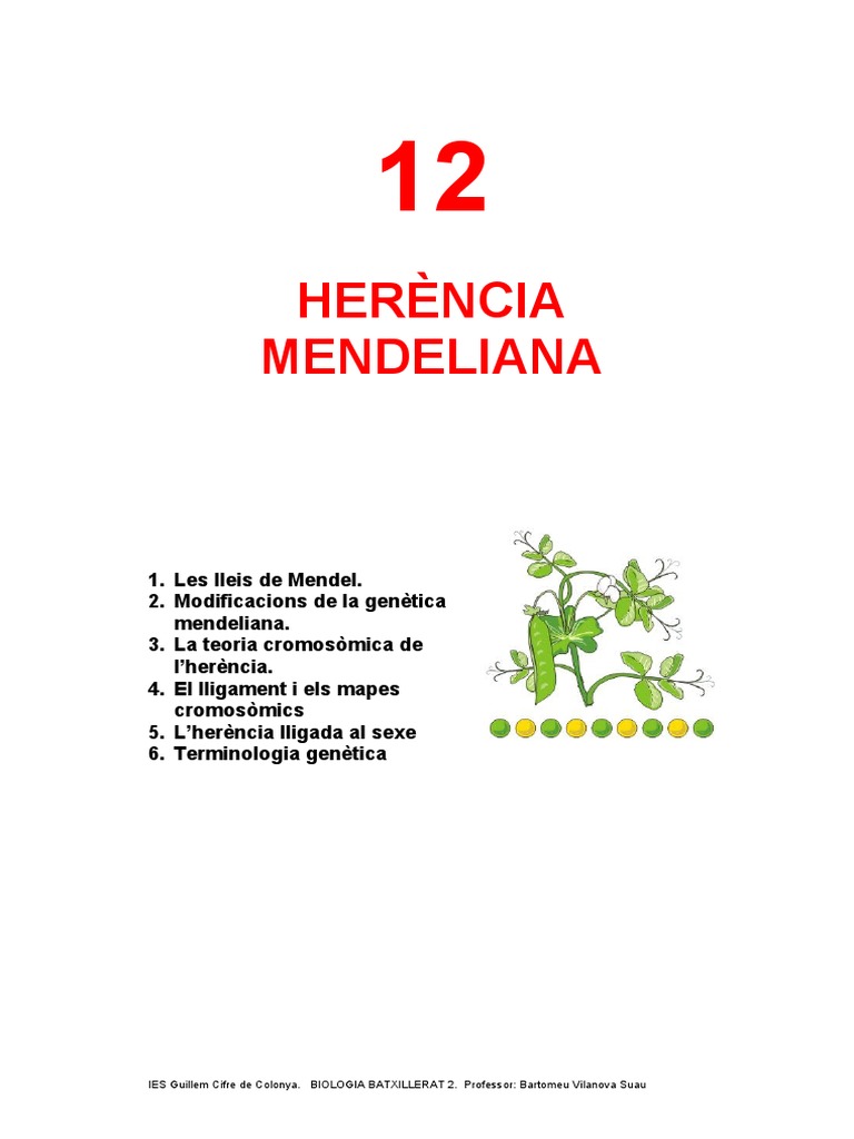 T12 Herencia Mendeliana Pdf