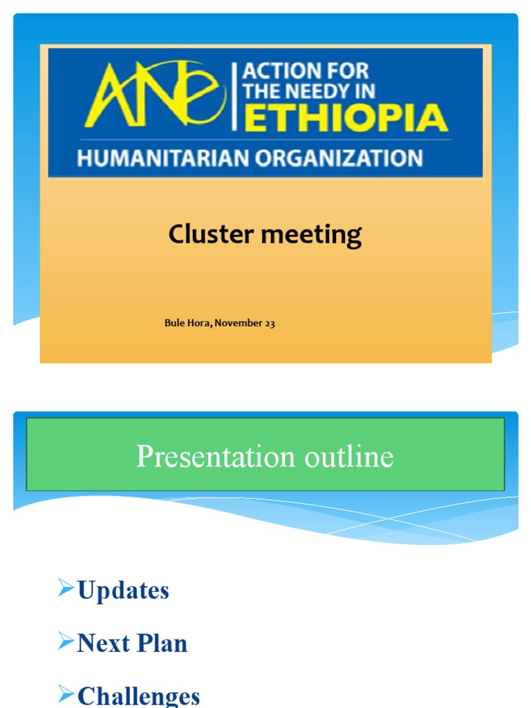 ANE Cluster Meeting Report Nov 23 | PDF